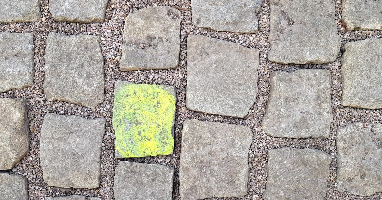 Jesus als Provokateur und ein Votum für „schräge Vögel ...