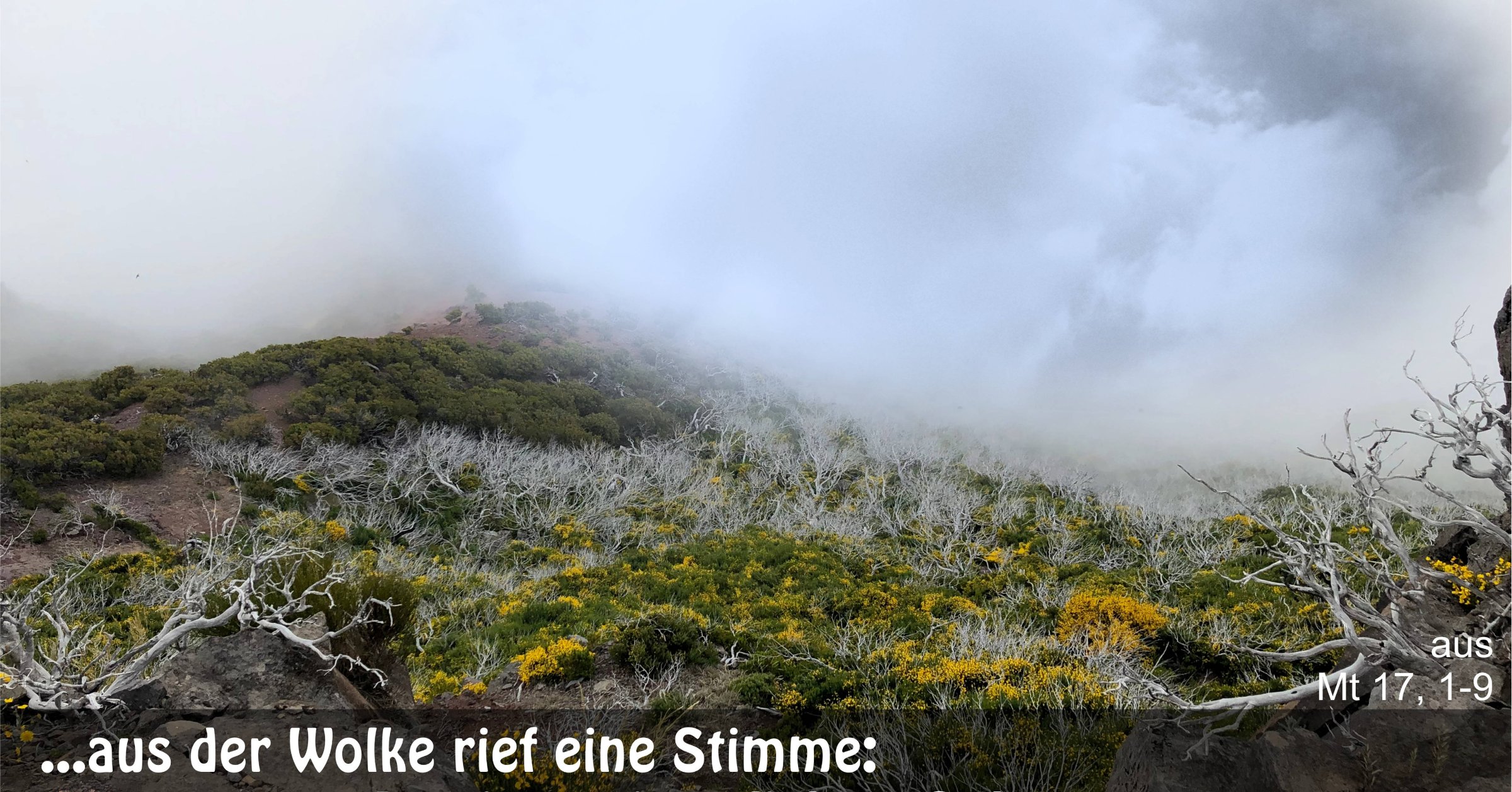 Verwandlungsmomente | Trauerseelsorge an der Grabeskirche St. Elisabeth